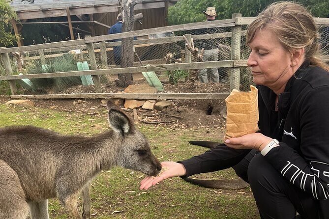 3 Day Private Tour in Tasmania - Key Points  