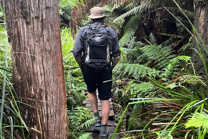 3 Day Private Tour in Tasmania - The Sum Up  