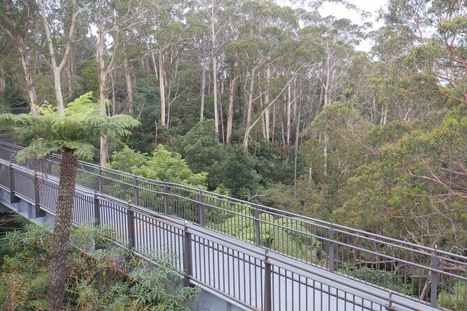 3 Day Scenic Tour of Blue Mountains from Sydney - Final Thoughts: Is This Tour Right for You?
