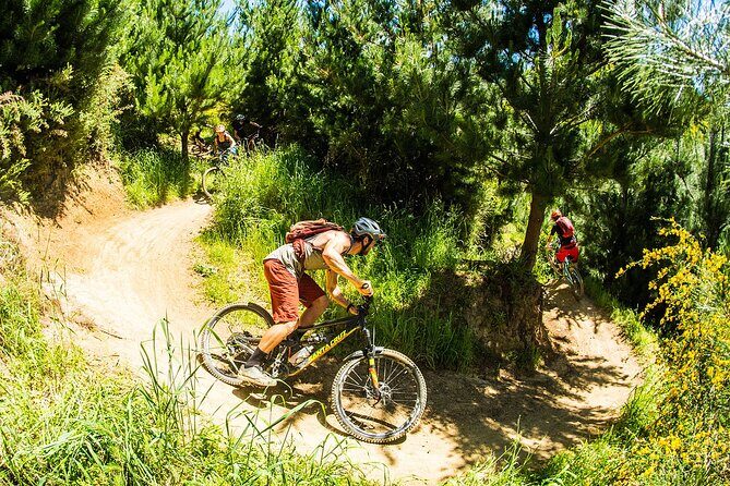 3 Day Shuttle MTB Weekend Adventure in Nelson - What’s Included and How It Adds Value