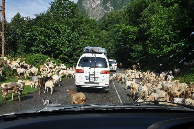 3-Day Svaneti Hiking Tour - Day 1: From Batumi to Mestia and Chalaadi Glacier