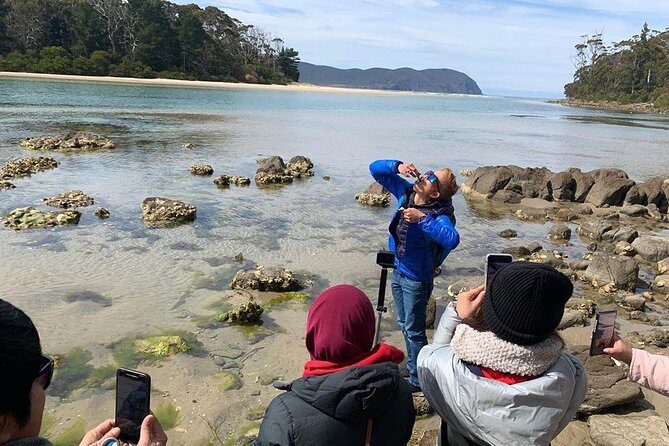 3 day Tasmanian highlights tour  Hobart, Port Arthur and Bruny Island - Who Will Love This Tour?