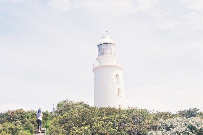 3 Day Tassie Tour Bundle Hobart, Wineglass Bay and Bruny Island - Who Will Love This Tour?