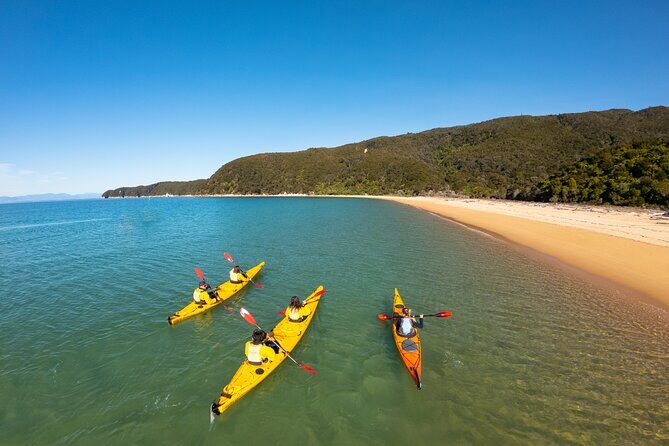 3 Day Unguided Kayaking starting in the Abel Tasman National Park New Zealand - Who Should Consider This Tour?