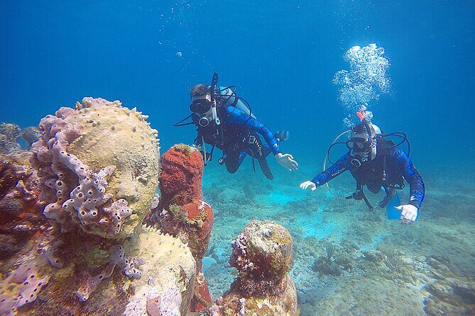 3 Days Class: SDI Open Water Diver Certification in Cancun - Why Choose This Certification Course?