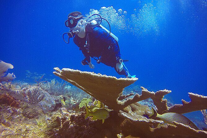 3 Days Class: SDI Open Water Diver Certification in Cancun - Final Thoughts: Is This Experience Worth It?