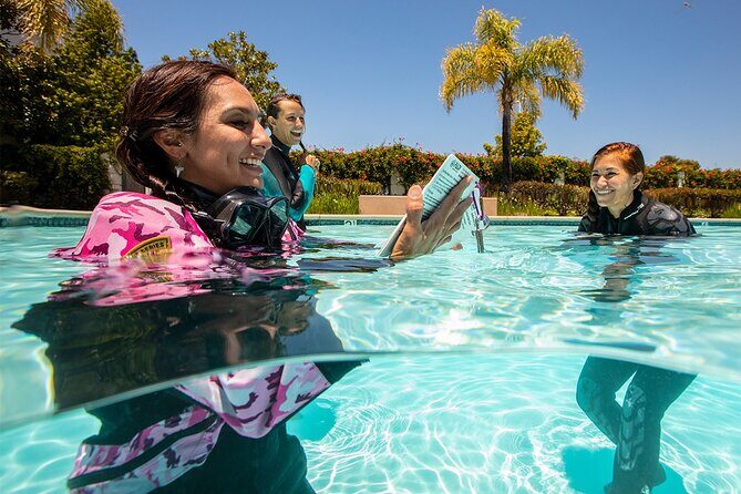 3 days Open Water Course | Scuba Diving - 3 days Open Water Course | Scuba Diving – A Practical Guide to Getting Started in Madeira