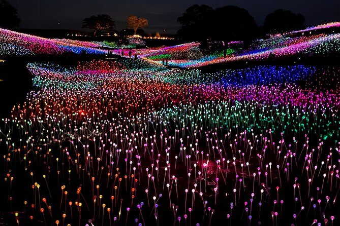 3 Days Private Pacific Tour to Big Sur Hearst Castle and more - Who Would Love This Tour?