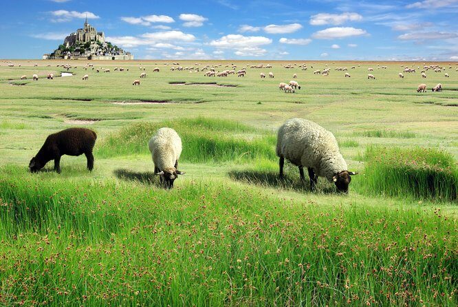 3 Days Trip to Normandy, Loire and Mont Saint Michel from Paris - Transportation, Accommodation, and Meal Details