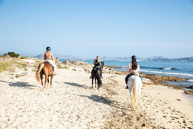 3-Hour Beach Horse Riding to Discover the Beauty of Alcudia Bay - Duration, Group Size, and Practical Details