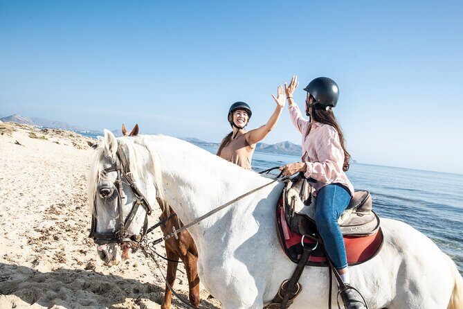 3-Hour Beach Horse Riding to Discover the Beauty of Alcudia Bay - What to Bring and Considerations