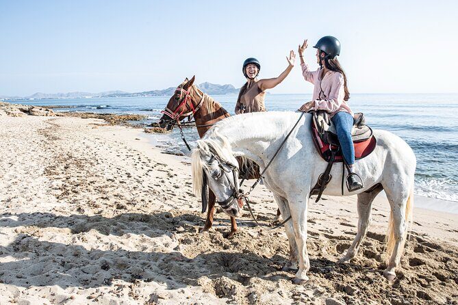 3-Hour Beach Horse Riding to Discover the Beauty of Alcudia Bay - Final Thoughts