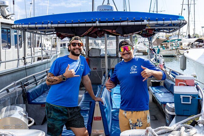 3 Hour Big Island Dolphin Watch Boat Tour, Snorkeling & BBQ Lunch - The Sum Up