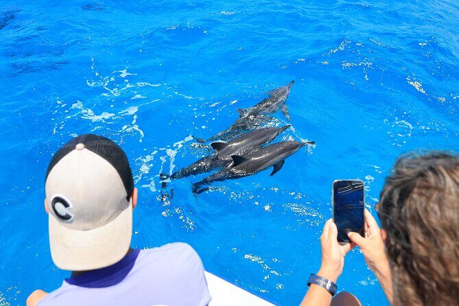 3 Hour Big Island Dolphin Watch Boat Tour, Snorkeling & BBQ Lunch - FAQs