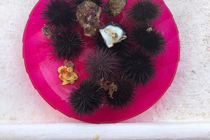 3-hour boat tour - The Experience and Service