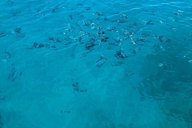 3-hour boat tour - Final Thoughts