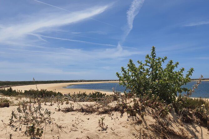 3 Hour Boat Tour in Ria Formosa - FAQ: Practical Questions & Answers