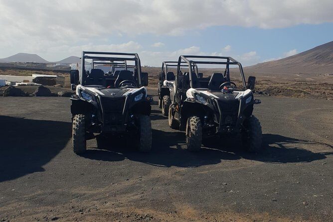 3-hour Buggy Tour from Costa Teguise - The Real Deal on the Price and Duration