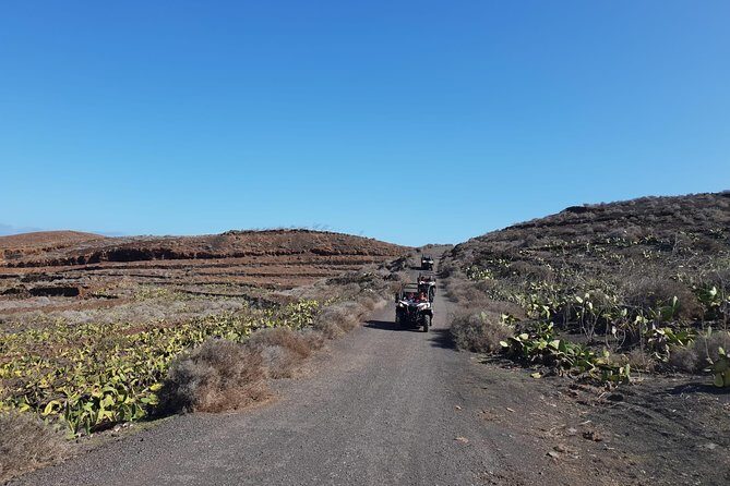 3-hour Buggy Tour from Costa Teguise - Who Will Love This Tour?