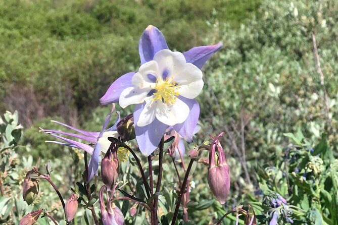 3- Hour E-Bike Tour of Turquoise Lake - The Sum Up