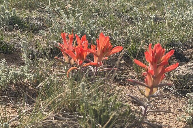3 Hour E Bike Tour to St. Elmo Ghost Town - Breathtaking Mountain Vistas and Photography