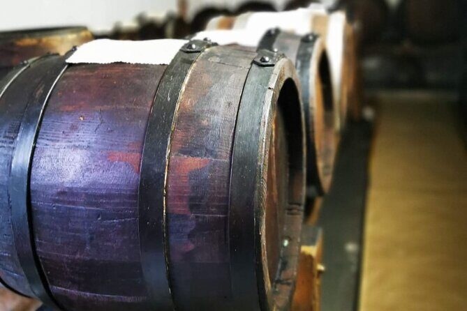 3 Hour E-bike Tour with Parmesan and Balsamic Vinegar - Practical Details and Value