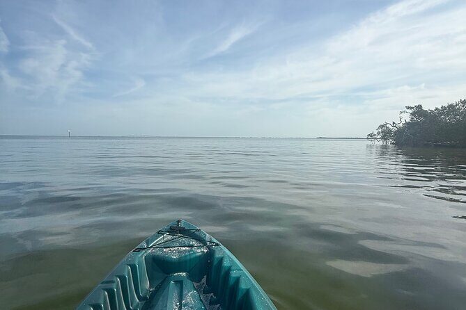 3 hour E.G. Simmons Park Mangrove Tunnel Tour - The Itinerary Breakdown