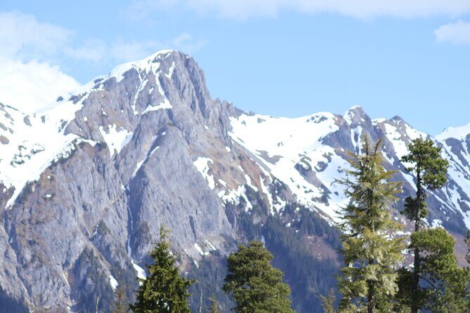 3 Hour Guided Driving Tour in Hoonah Alaska - Who Should Consider This Tour?