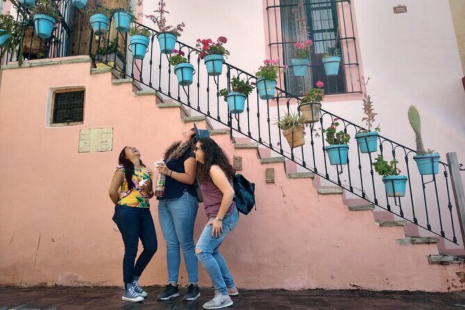 3-Hour Guided Walking Tour of Guanajuato - Who Will Love This Tour?