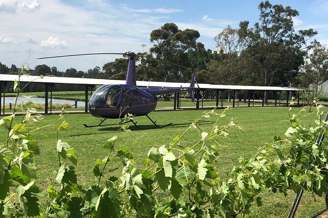3 Hour Helicopter Wine Tasting Tour in Hunter Valley - Introducing the 3 Hour Helicopter Wine Tasting Tour in Hunter Valley