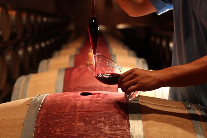 3 Hour Horse Ride to a Castle for Wine Tasting and snack Lunch - Who Should Book This Tour?