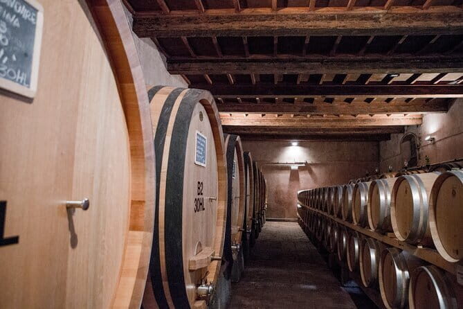 3 Hour Horse Ride to a Castle for Wine Tasting and snack Lunch - FAQ