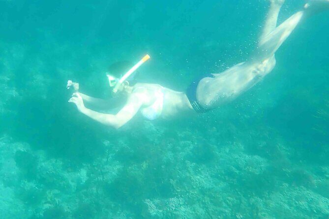 3-Hour Kayak and Snorkeling Experience in Batemans Bay - Final Thoughts