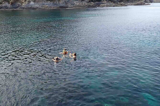 3-Hour Kayak and Snorkeling Experience in Batemans Bay - FAQs