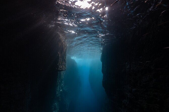 3 Hour Kayak Guided Tour in Islet of Vila Franca Do Campo - What Sets This Tour Apart