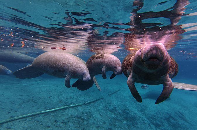 3 Hour Kayak Rental - The Sum Up