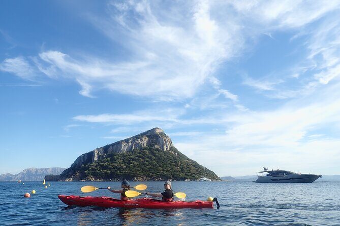 3-Hour Kayak Tour at Capo Figari (Golfo Aranci) - Why This Tour Offers Great Value