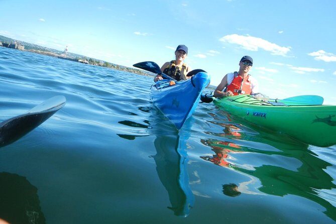 3- Hour Kayak Tour on the Oslofjord - Final Thoughts: Is This Kayak Tour Worth It?