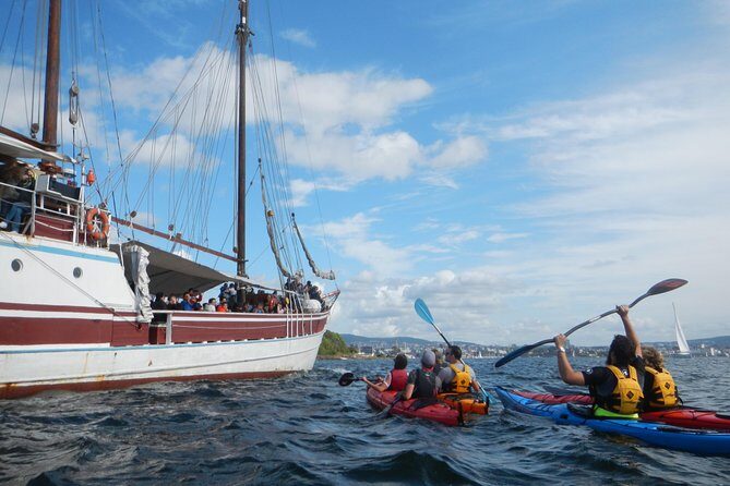 3- Hour Kayak Tour on the Oslofjord - FAQ
