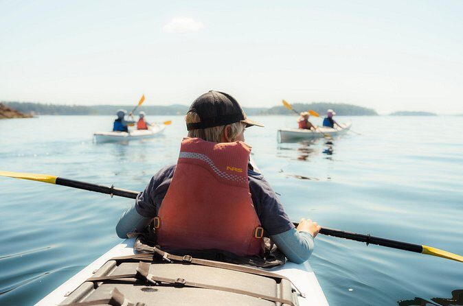 3 Hour Kayaking Tours from Friday Harbor - The Value of This Experience
