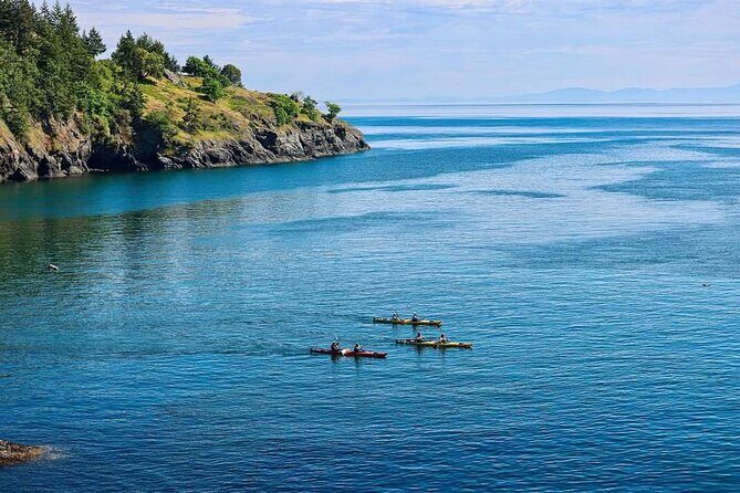 3 Hour Kayaking Tours from Friday Harbor - Who Should Consider This Tour?