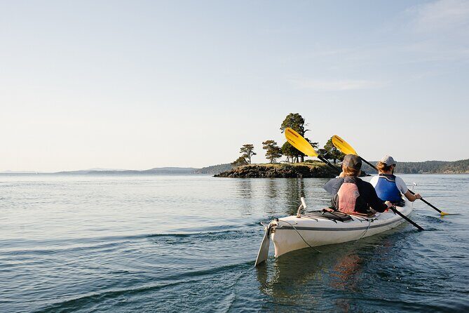 3 Hour Kayaking Tours from Friday Harbor - Frequently Asked Questions