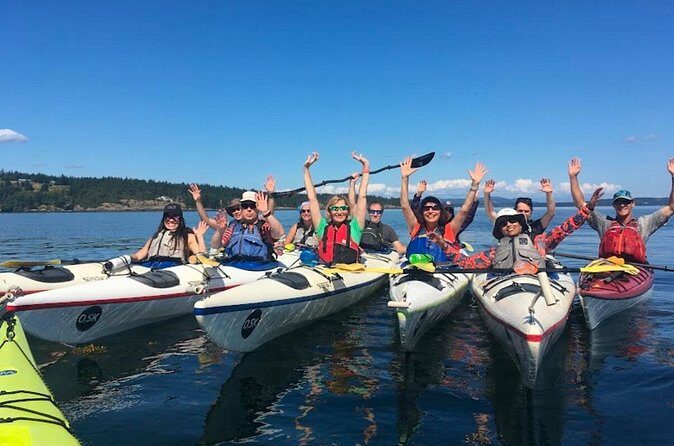 3 Hour Kayaking Tours from Friday Harbor - Final Thoughts