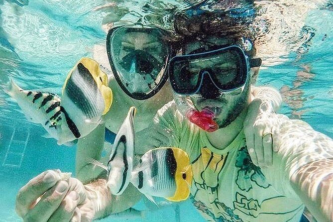 3-hour Lagoon Snorkeling Tour - Private Tour - An In-Depth Review of the Moorea Lagoon Snorkeling Tour