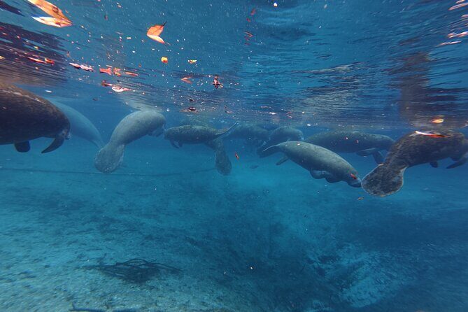 3 Hour Paddle Board Rental - Practical Details and Tips for Visitors  