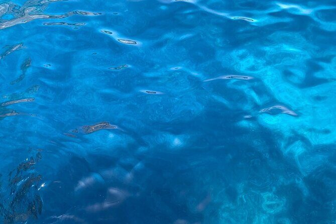 3-hour private boat tour of the island of Capri - FAQs