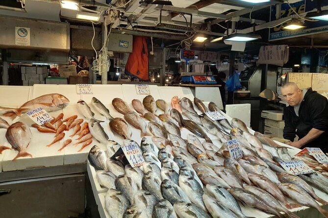 3 Hour Private Greek Cuisine Tasting Experience - Key Points