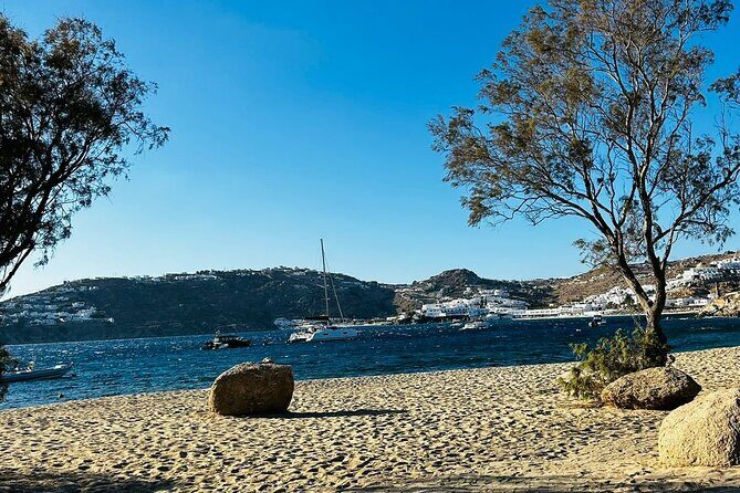 3-Hour Private Mykonos Highlights Tour - Experience, Comfort, and Value