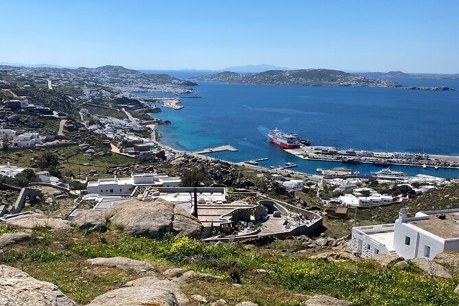 3-Hour Private Mykonos Highlights Tour - Who Will Love This Tour?