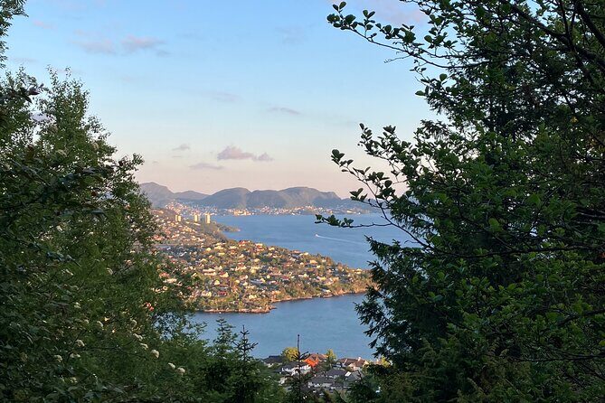 3-Hour Private Norwegian Hiking Experience with Local Guide - Pricing and Value